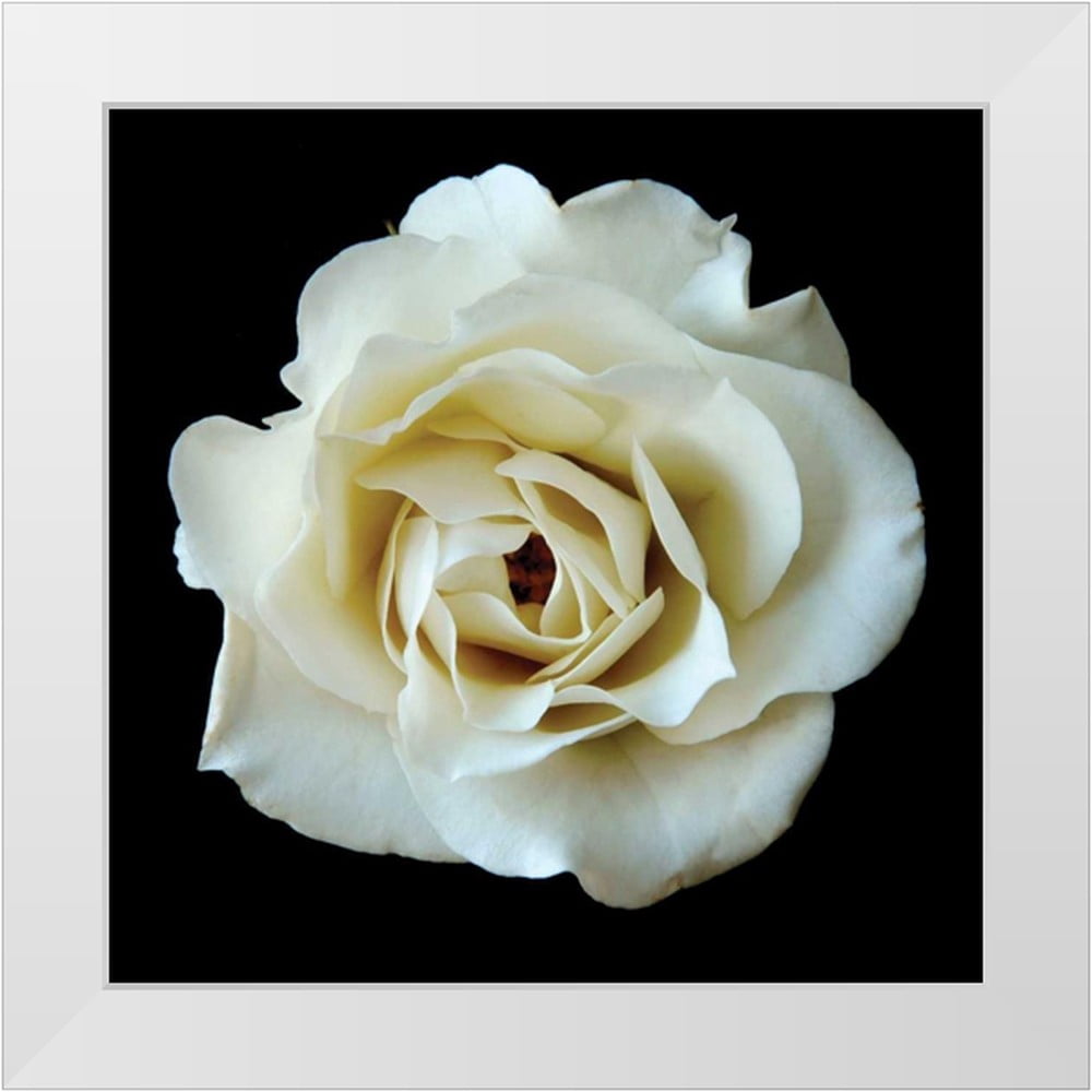 Christensen, Jim 20x20 White Modern Wood Framed Museum Art Print Titled ...