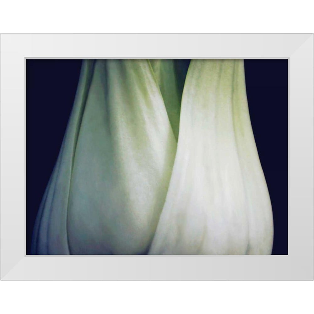 Christensen, Jim 24x19 White Modern Wood Framed Museum Art Print Titled ...