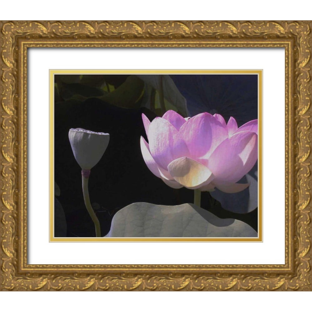 Christensen, Jim 32x26 Gold Ornate Wood Framed with Double Matting ...