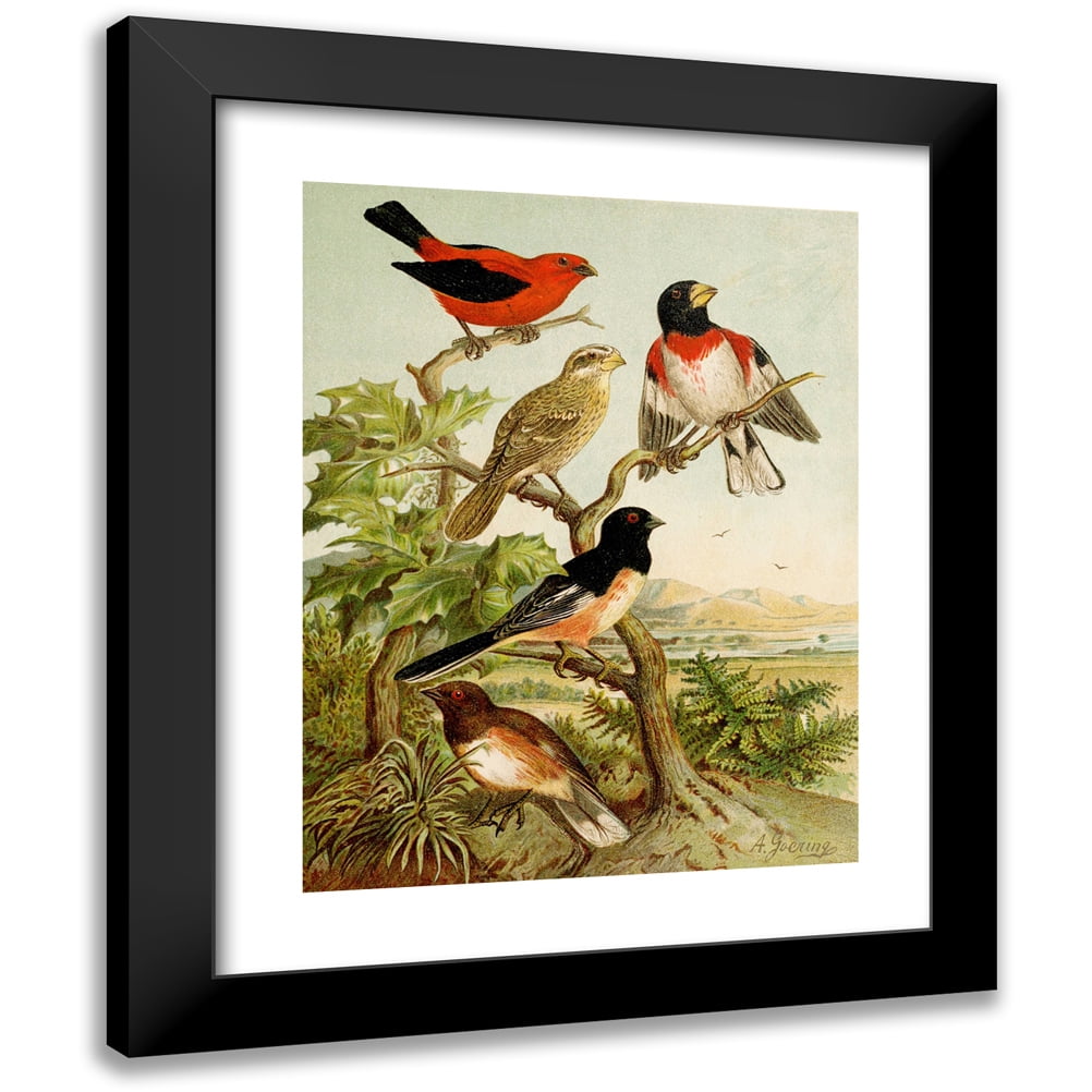Christian Anton Goering 15x18 Black Modern Framed Museum Art Print ...