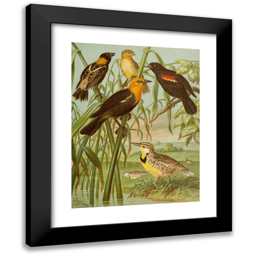 Christian Anton Goering 15x18 Black Modern Framed Museum Art Print ...