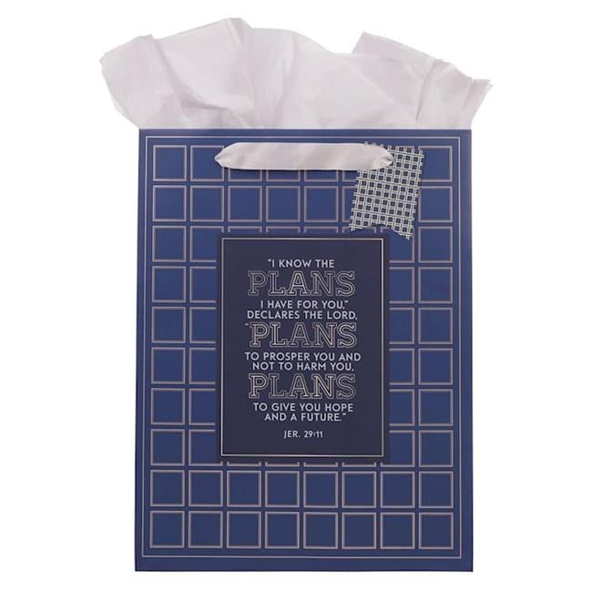 Christian Art Gifts 472251 Gift Bag - Large - Plans Modern Blue ...