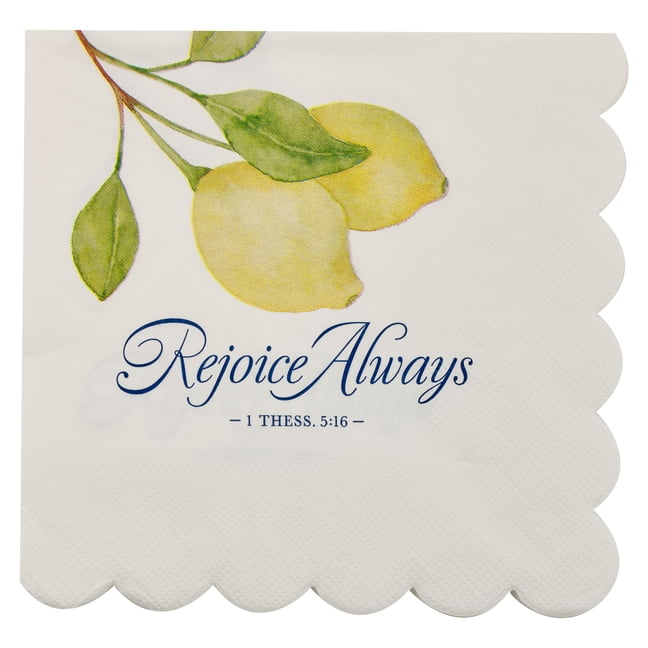 Christian Art Gifts Inspirational Scripture Napkin Set for Home ...