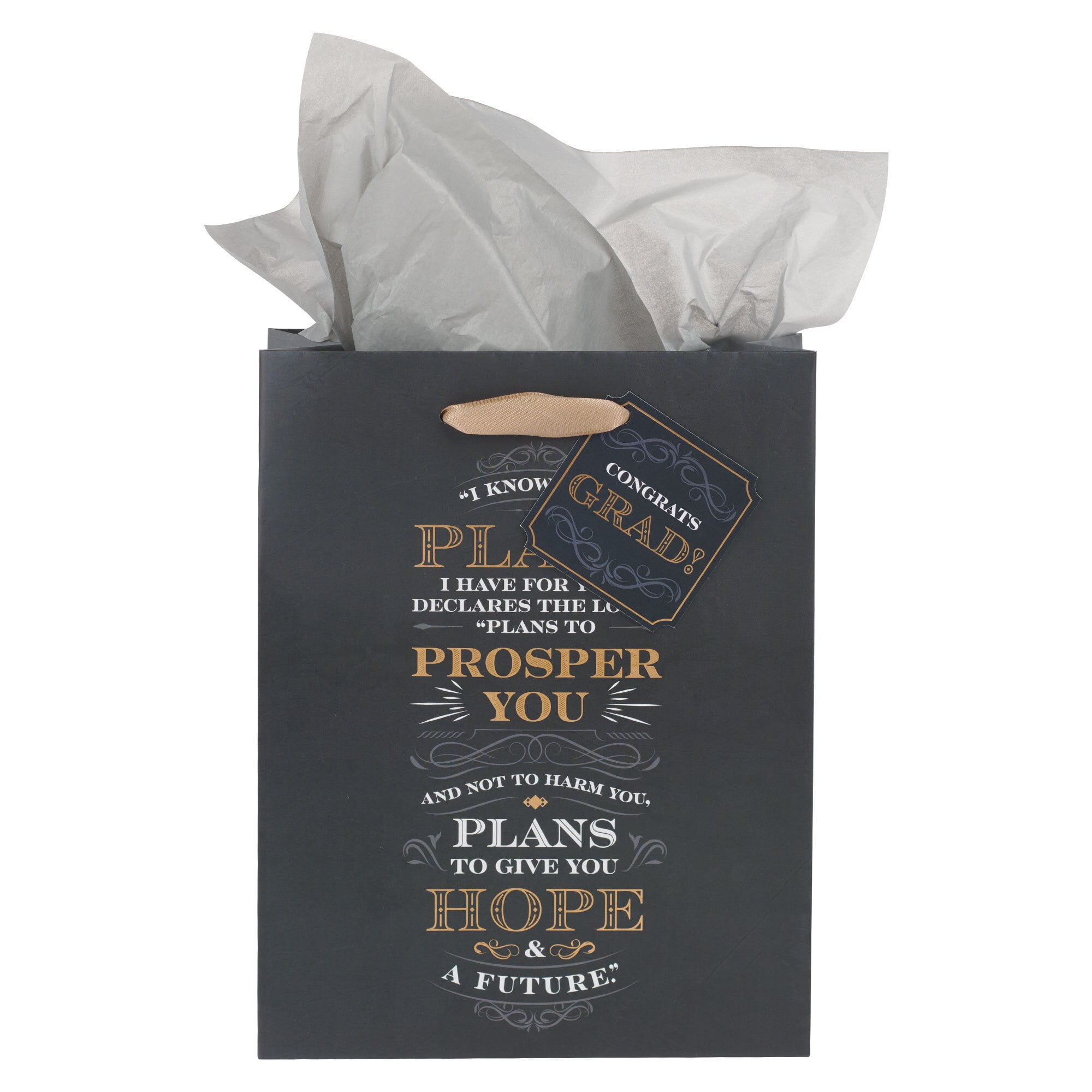 Christian Art Gifts Medium Portrait Scripture Gift Bag, Tag & Wrapping ...