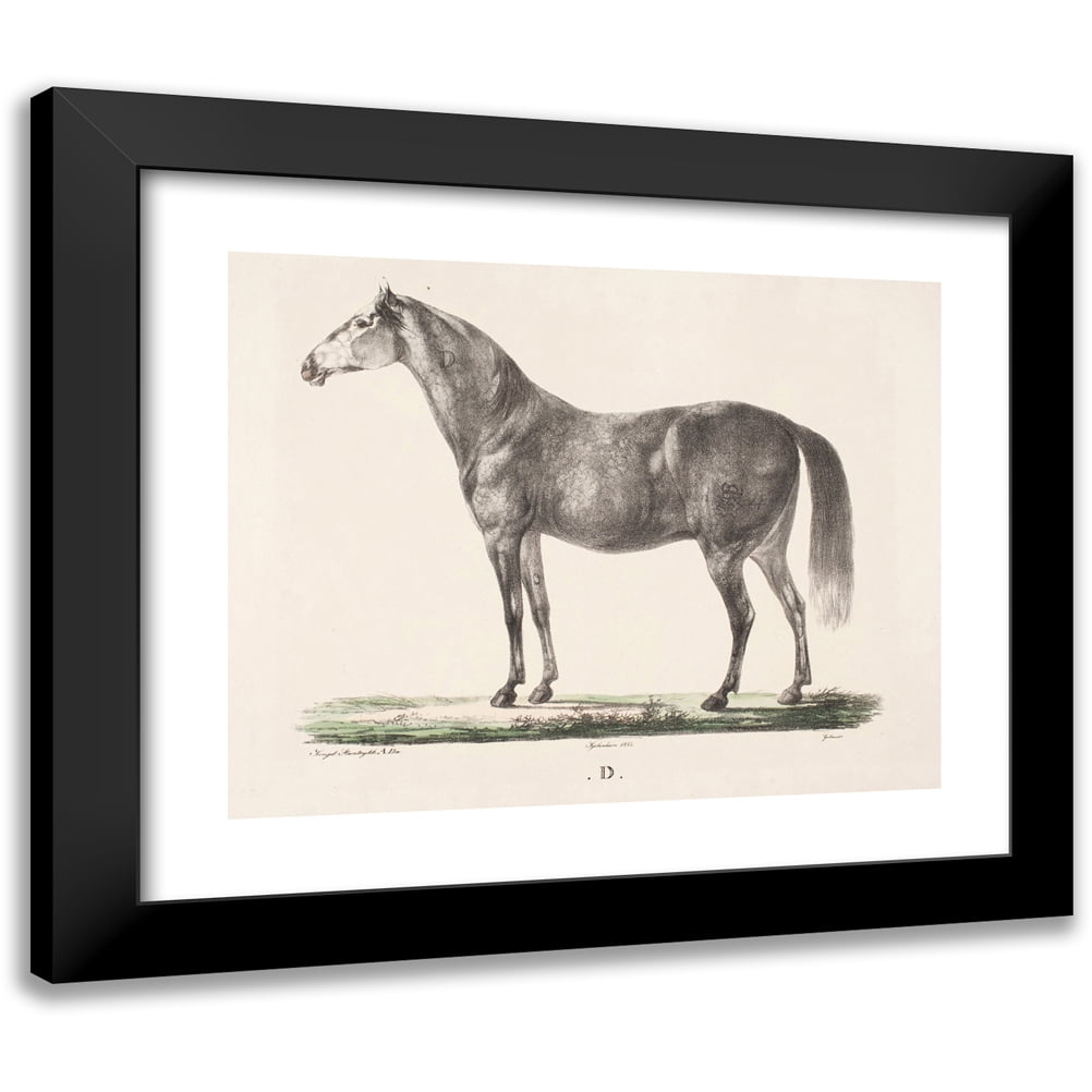 Christian David Gebauer 14x12 Black Modern Framed Museum Art Print ...