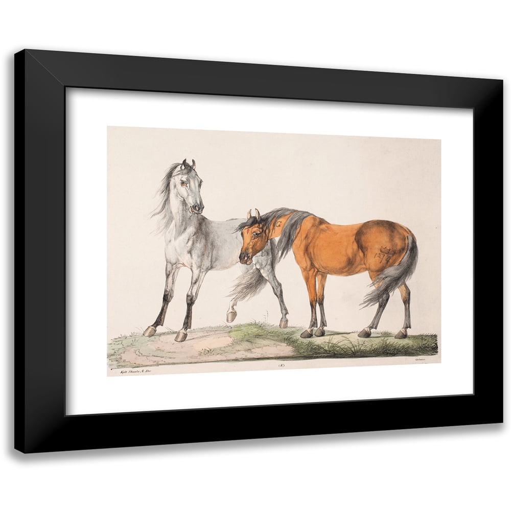 Christian David Gebauer 18x14 Black Modern Framed Museum Art Print ...