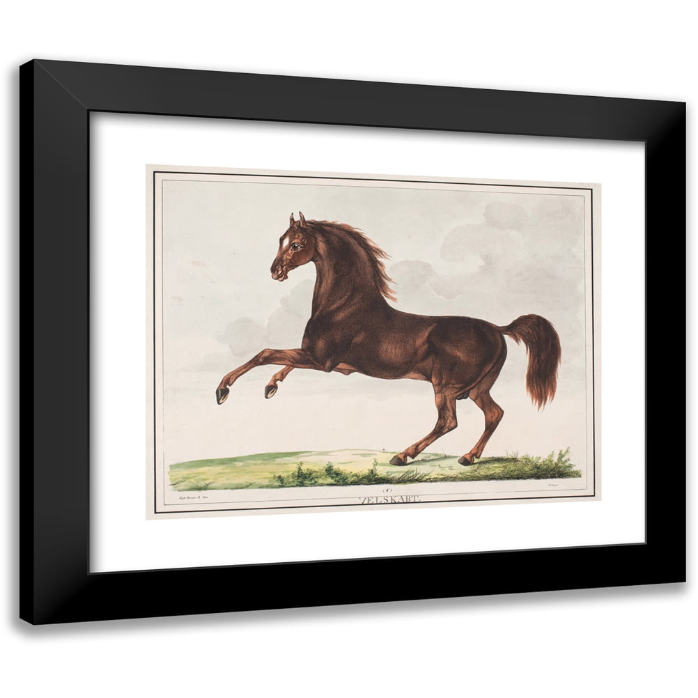Christian David Gebauer 18x15 Black Modern Framed Museum Art Print ...