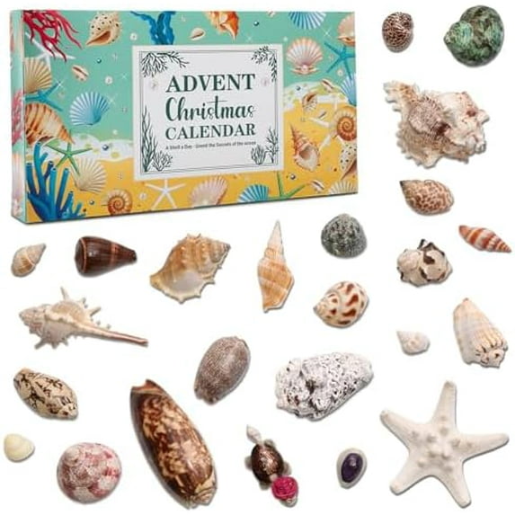 Christmas Advent Calendar 2025, 24 Days Christmas Countdown Calendars ...