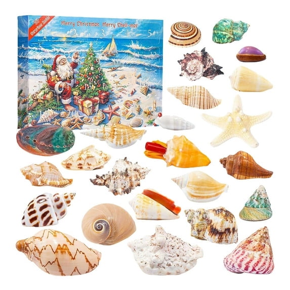 Christmas Advent Calendar 2025 - Shells Themed Calendar-Advent Calendar ...