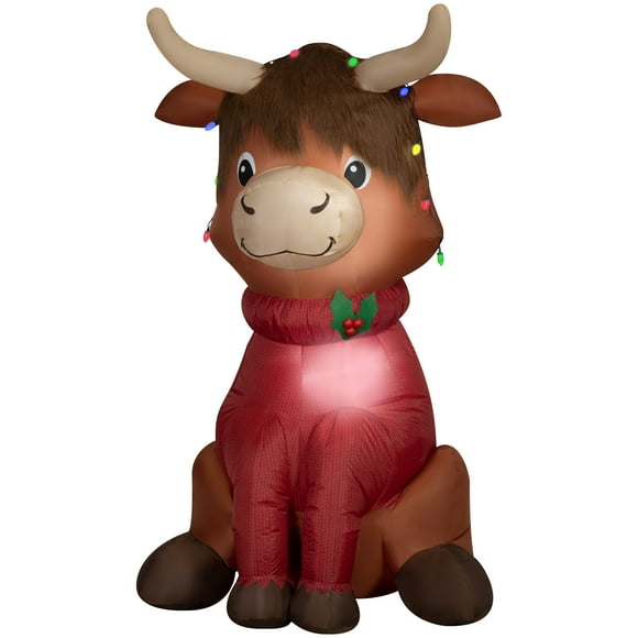 Airblown Christmas Decorations