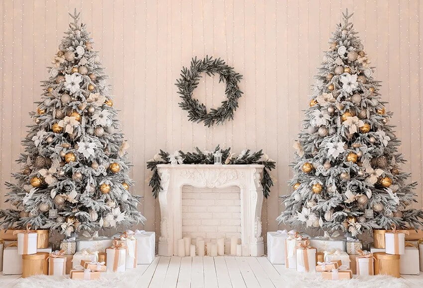 Christmas Backdrop Photography Background Winter Snowy Windows Xmas