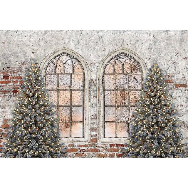 Christmas Backdrop Photography Background Winter Snowy Windows Xmas
