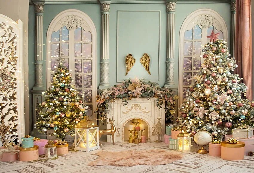 Christmas Backdrop Photography Background Winter Snowy Windows Xmas