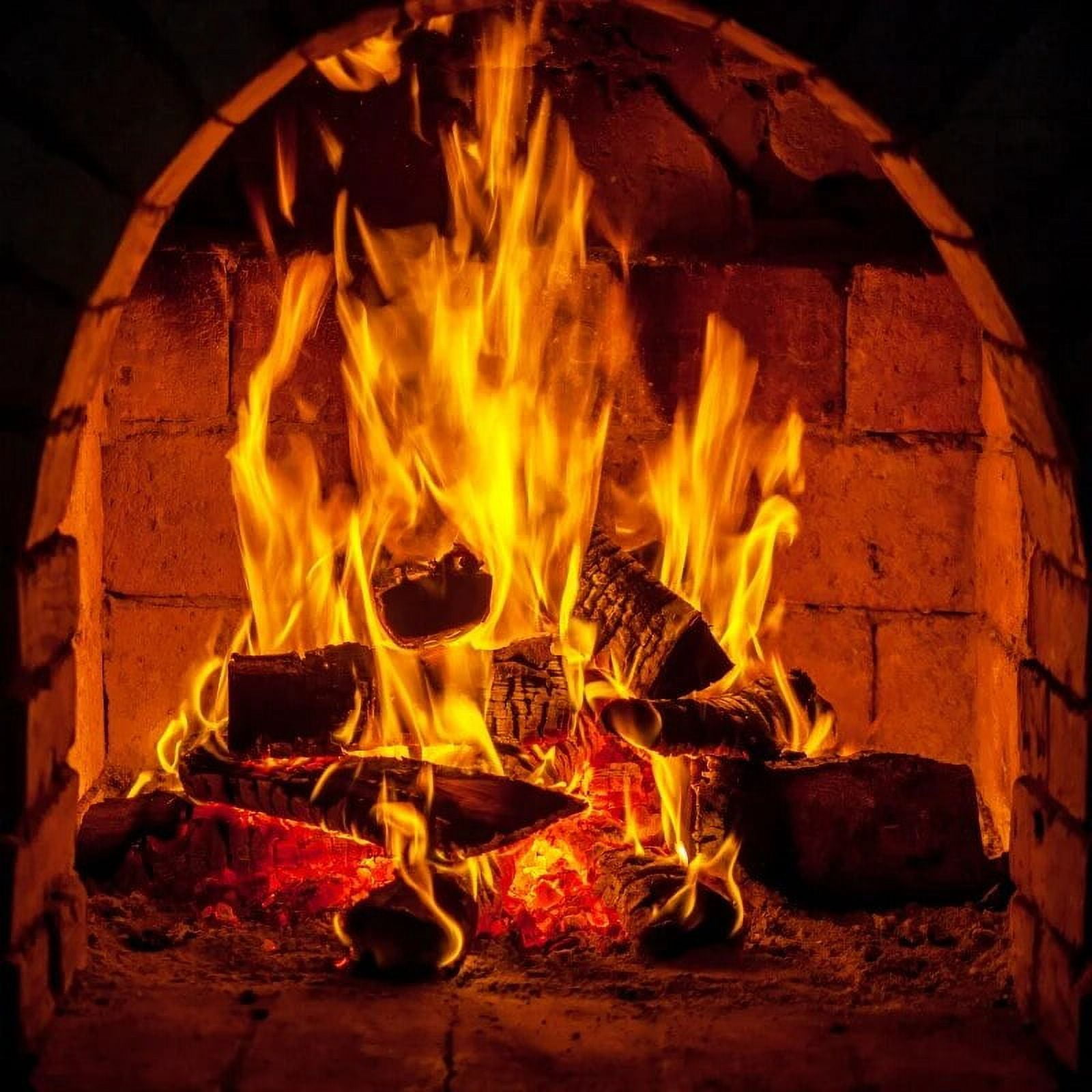 Christmas Backdrop Tree Wood Board Floor Winter Snow Deer Light Gift ...