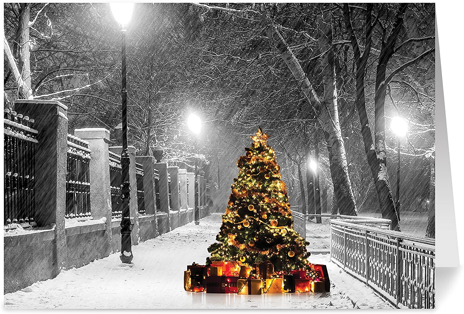 Christmas Cards, Holiday Cards - One Jade Lane - Lighted Tree in the ...