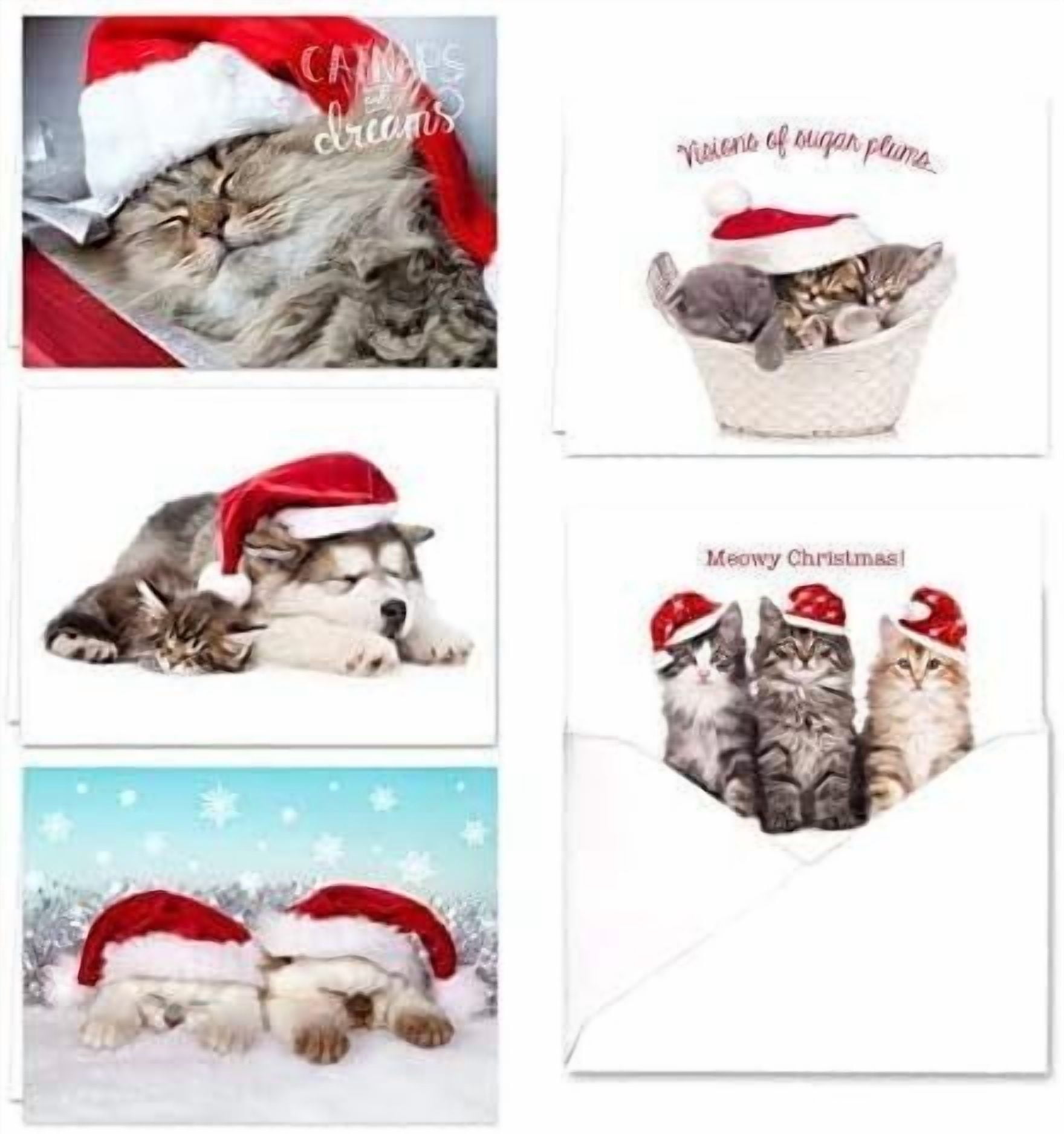 Christmas Cats Holiday Card Pack / 25 Seasonal Kitten Greeting Cards ...