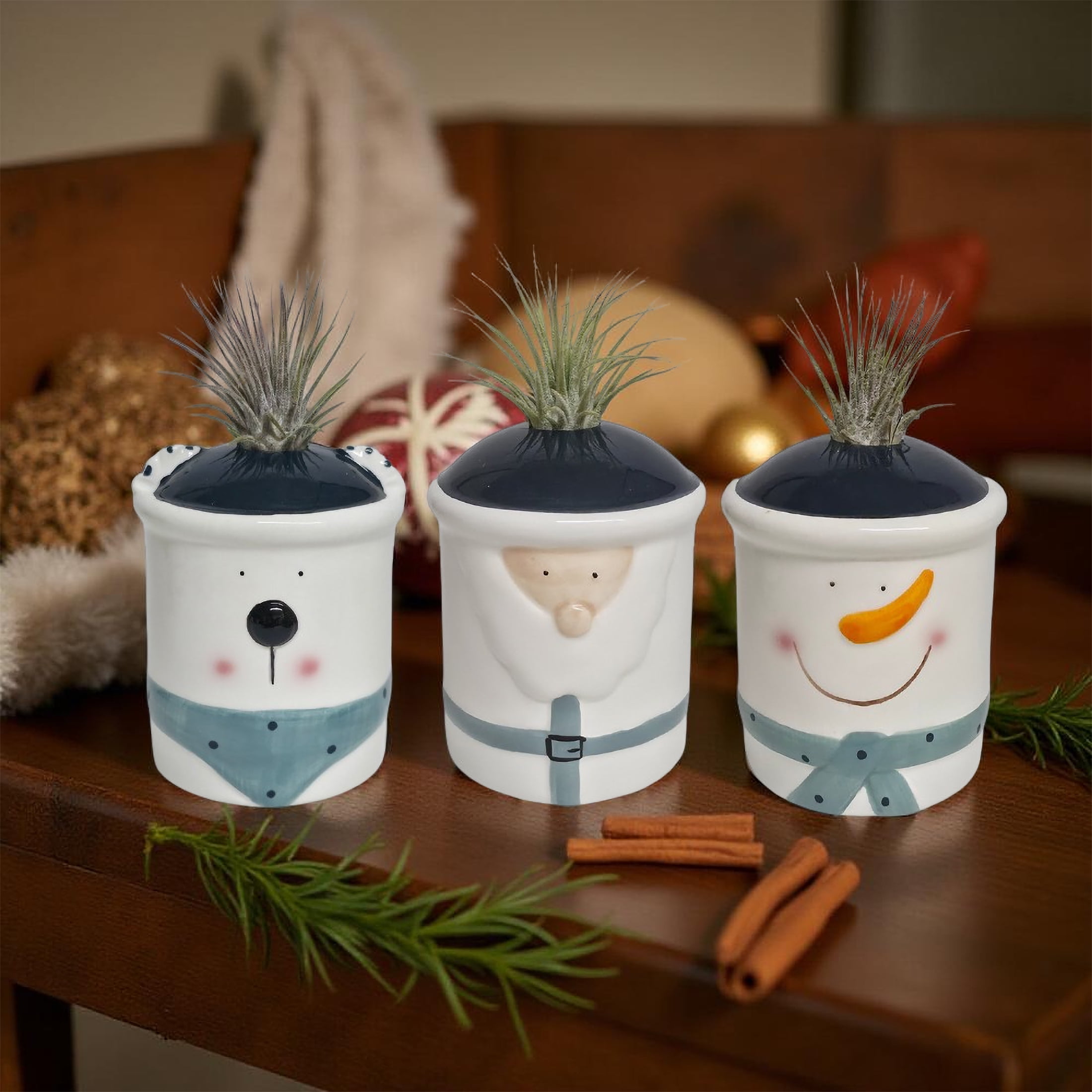 3-Piece Christmas Character Planters with Live Air Plants – Santa ...
