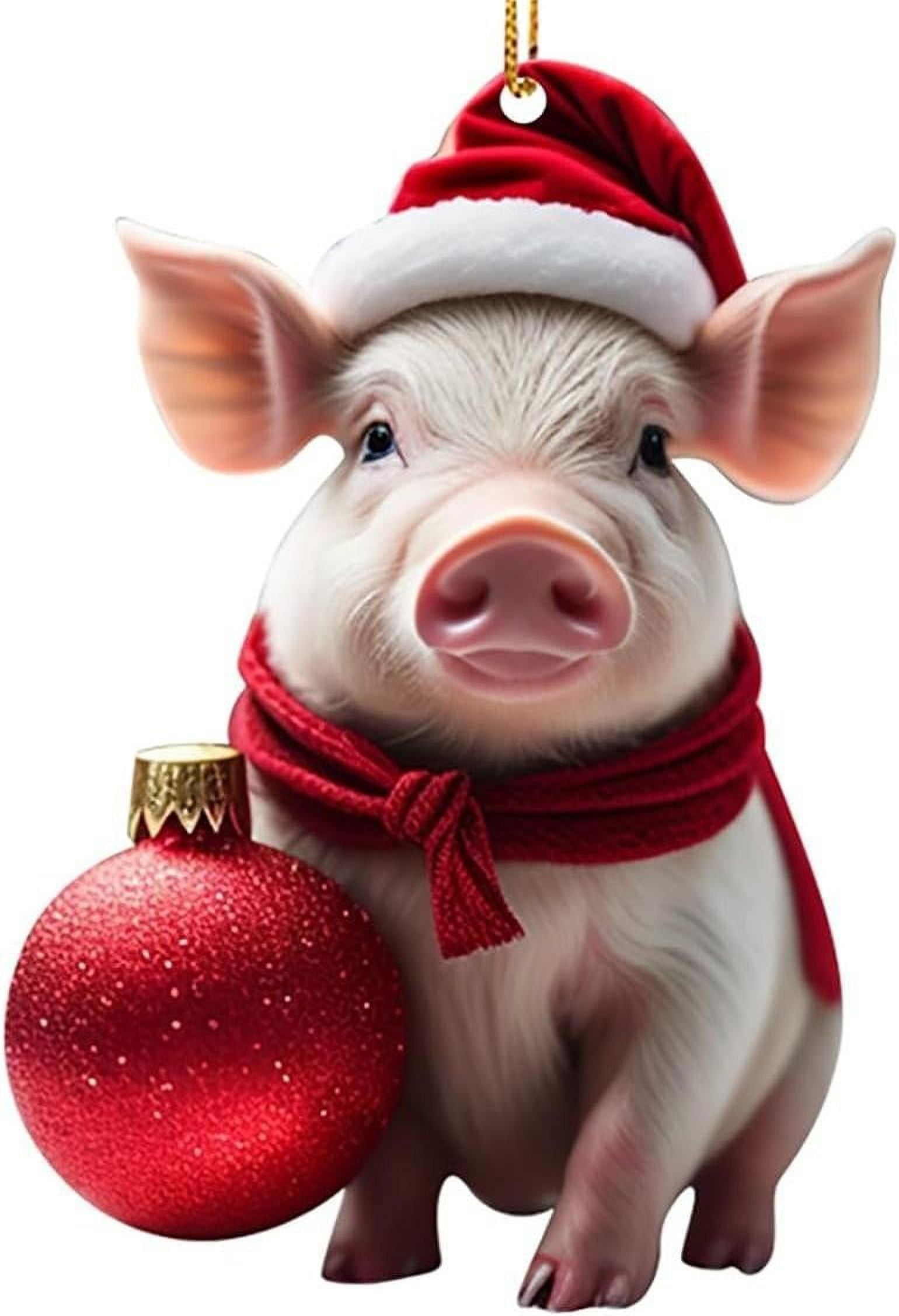 Christmas JoyMoreHome Personalized Pig Christmas Ornament Hanging ...