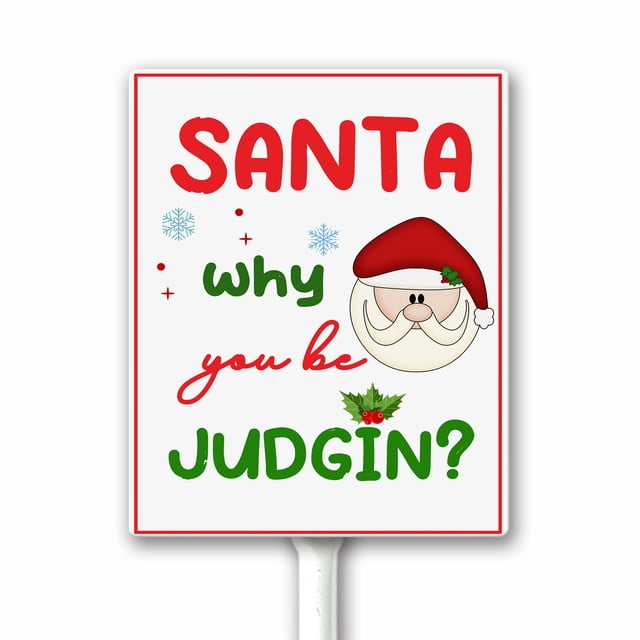 Christmas Decorations Outdoor Santa Why You Be Judgin Christmas ...