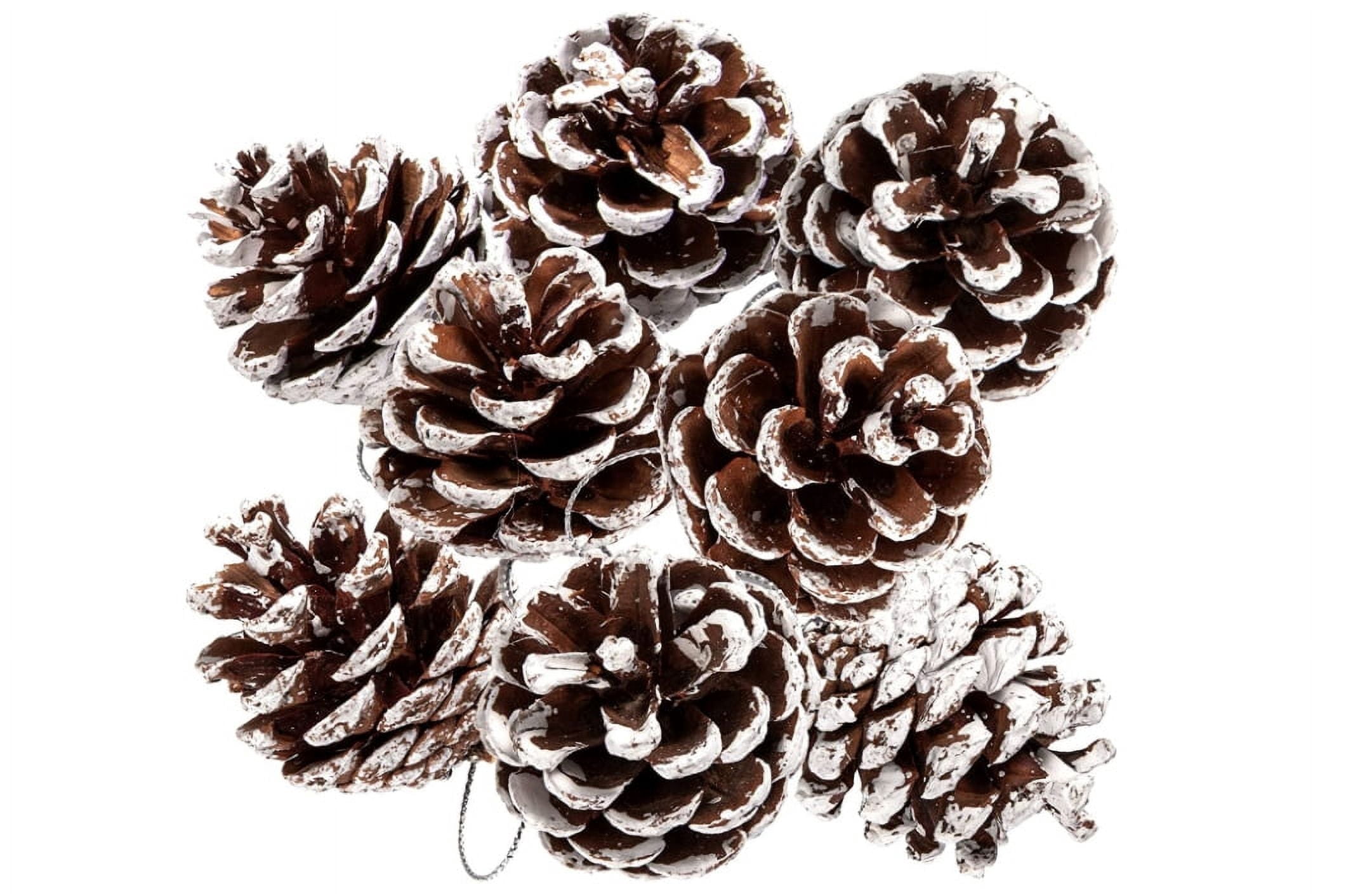 Christmas Decorations,Pack of 18 Christmas Natural Pine Cones Bulk ...