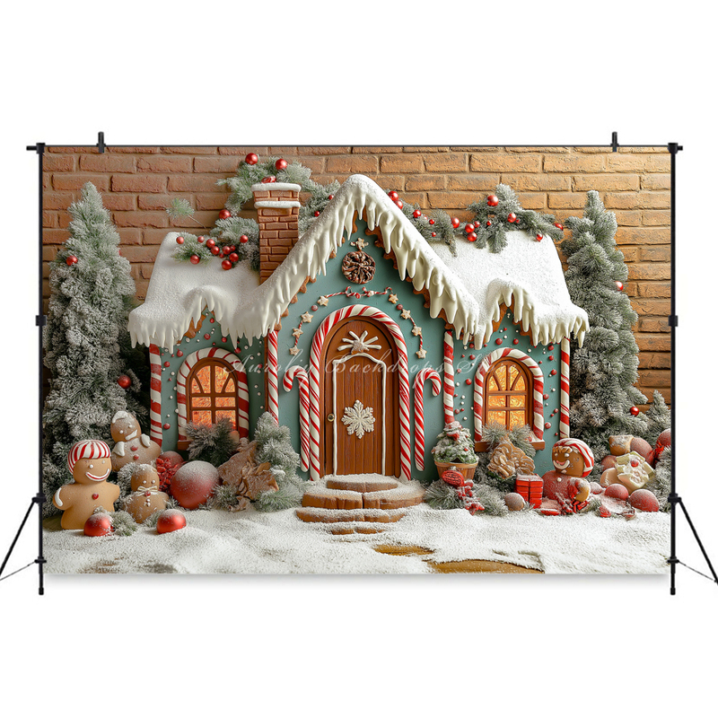 Christmas Gingerbread House Backgrounds Adult Family Photography Props ...