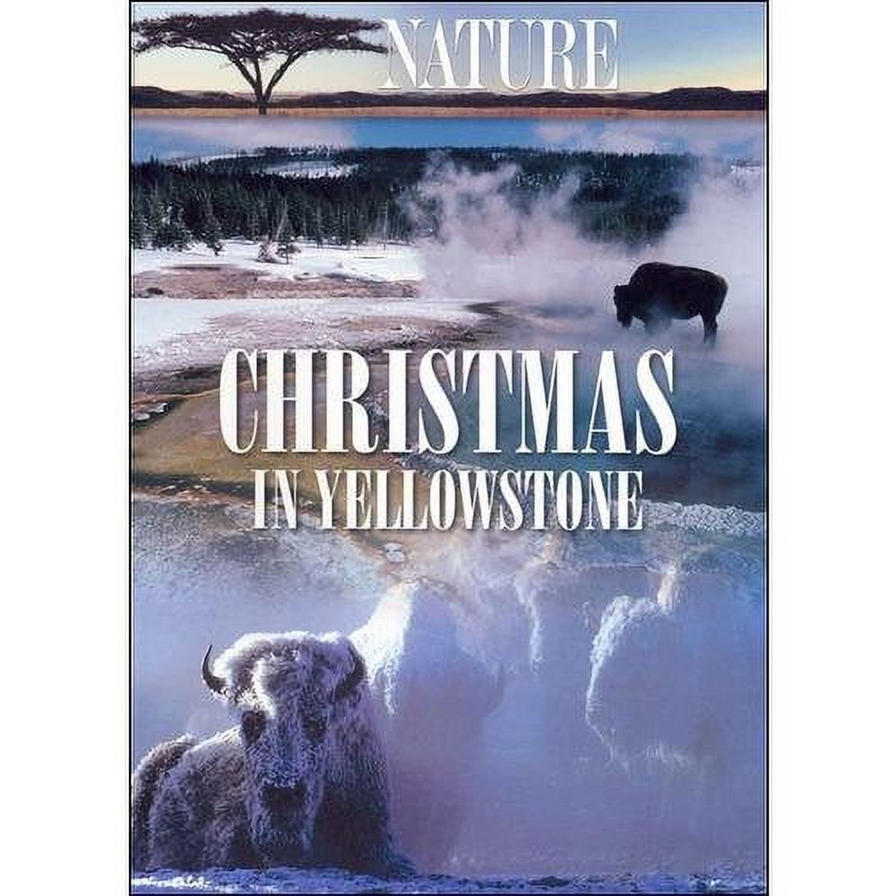 Christmas In Yellowstone - Walmart.com