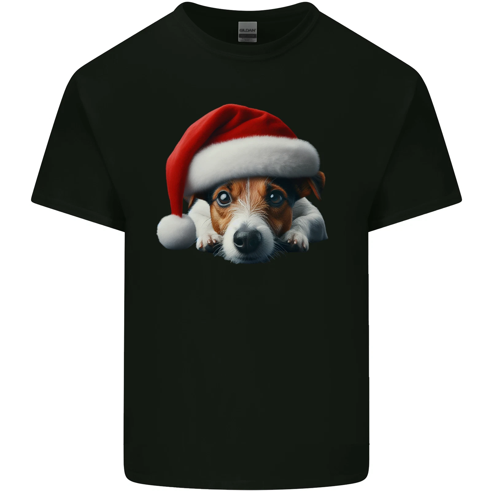 Christmas Jack Russell Wearing an Xmas Hat for a Dog and Holiday H38567 ...