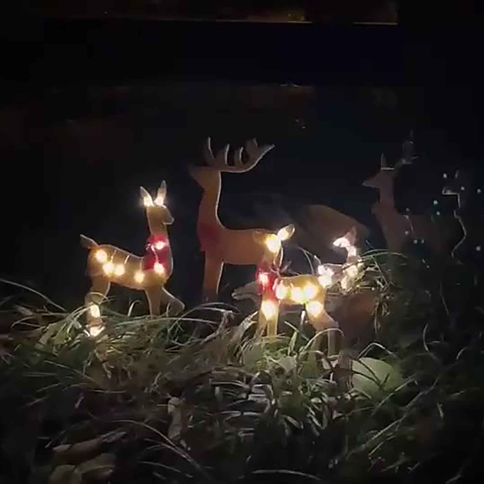 Christmas Outdoor Decoration Clearance, 3-Piece Lighted 2D Reindeer ...