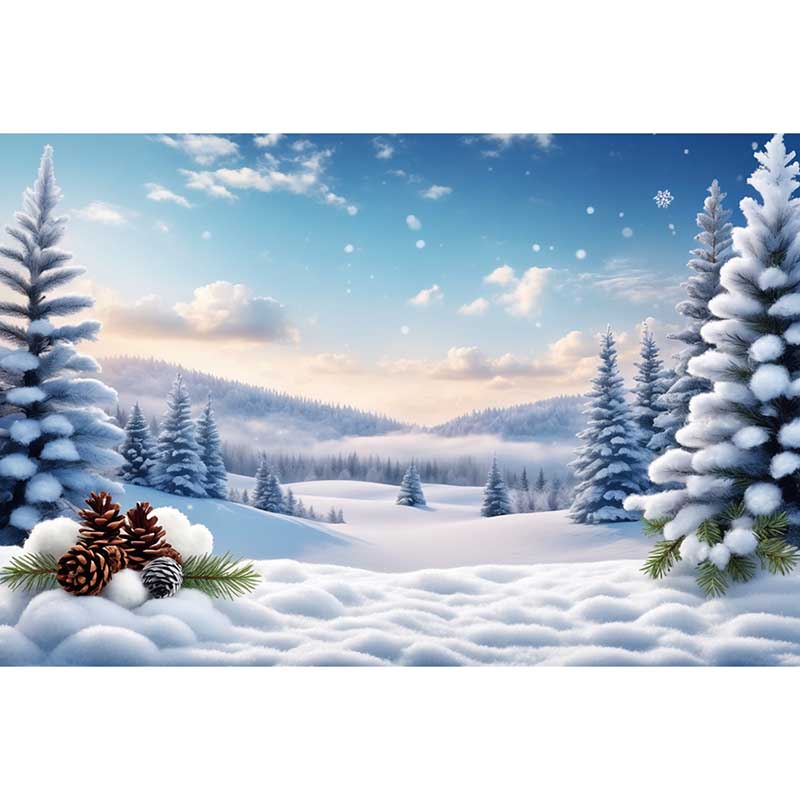 Christmas Photography Backdrops Winter ration Photo Studio Background ...