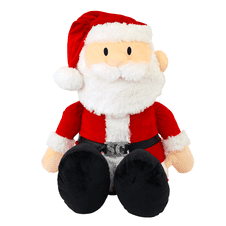 Santa Claus Toy
