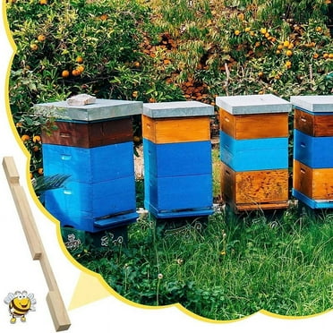 30-Frame Hive Frame/Bee Hive Frame/Beehive Frames w/ Metal Roof for ...
