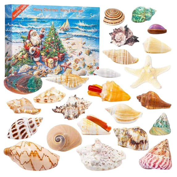 Christmas Seashells Advent Calendar 2025, 3D Ocean Shells Advent Xmas ...