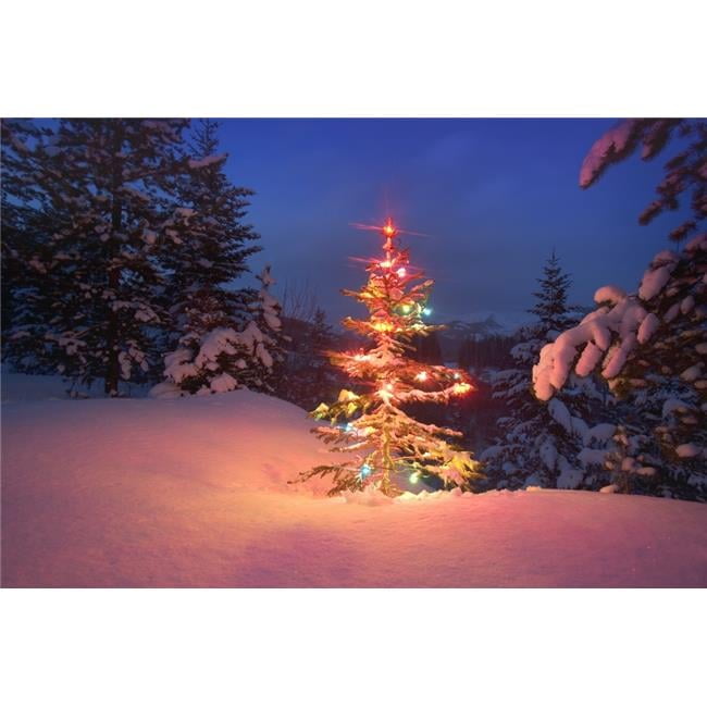 Christmas Tree At Night Poster Print by Carson Ganci, 34 x 22 - Large ...