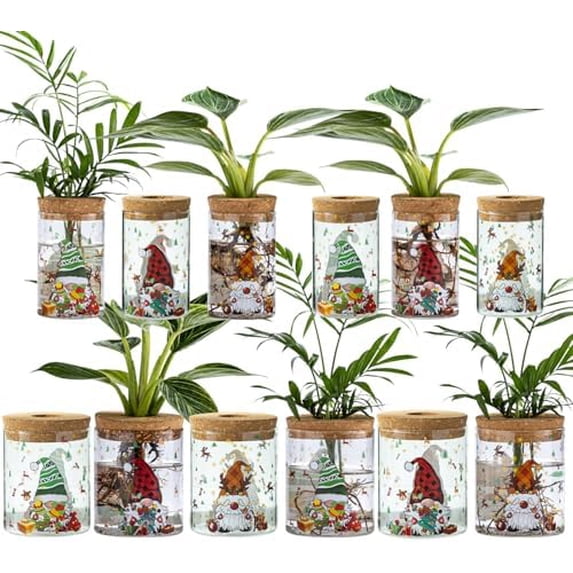 Christmas Vases, 2 Sizes Propagation Jars with Christmas Decorations ...