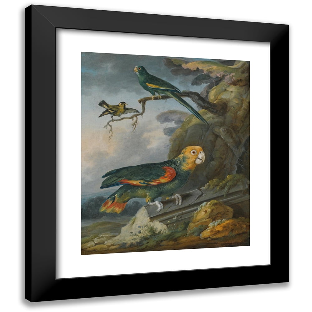 Christophe Huet 15x18 Black Modern Framed Museum Art Print Titled - A ...