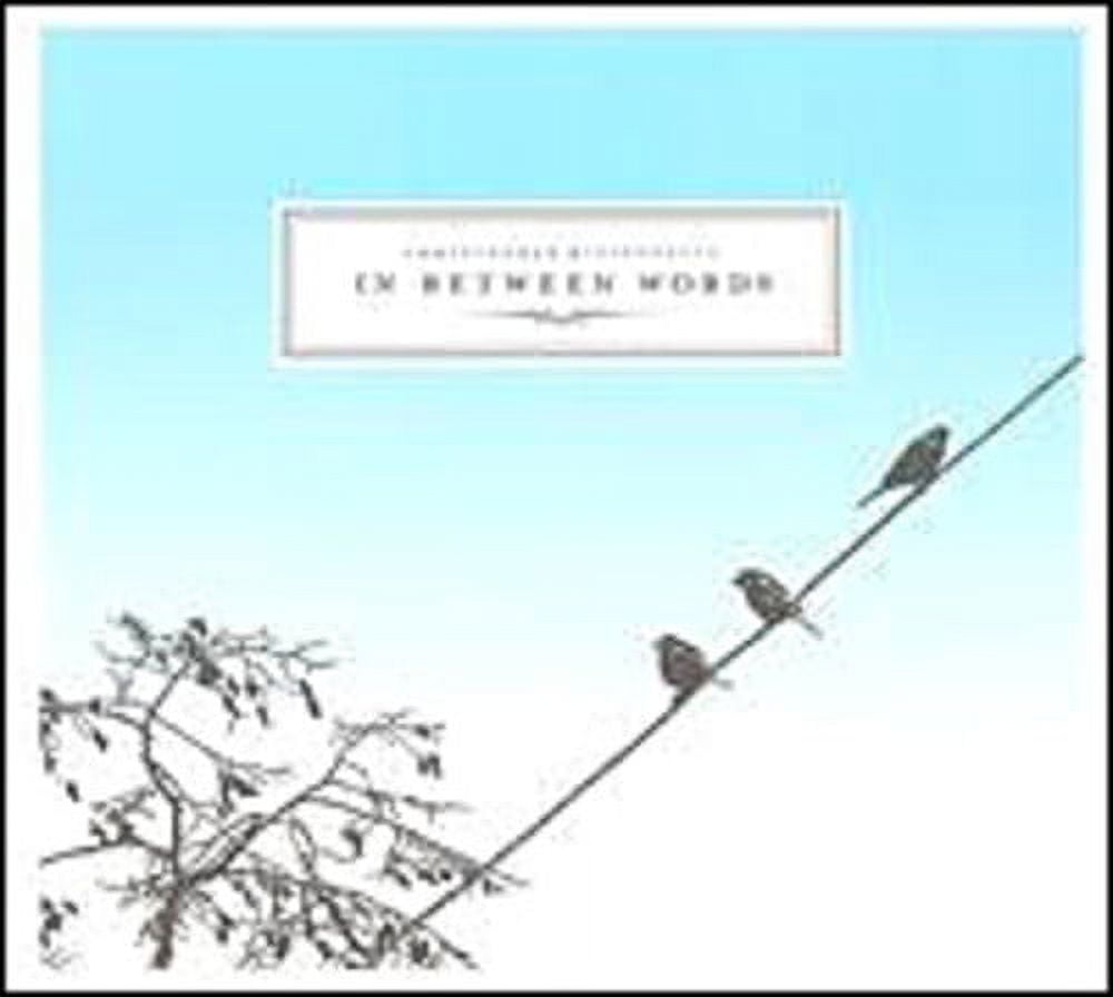 Christopher Bissonnette - In Between Words - Electronica - CD - Walmart.com