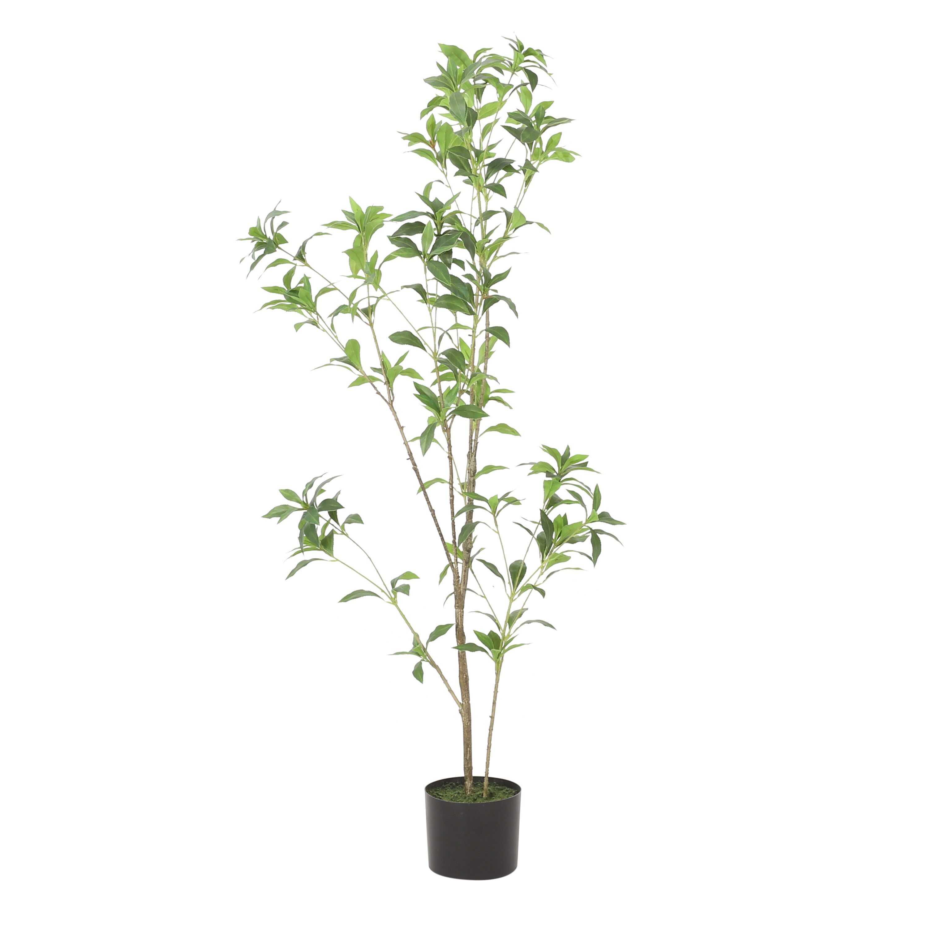 Christopher Knight Home Bergweg Artificial Pieris Tree by 4' x 1.5 ...
