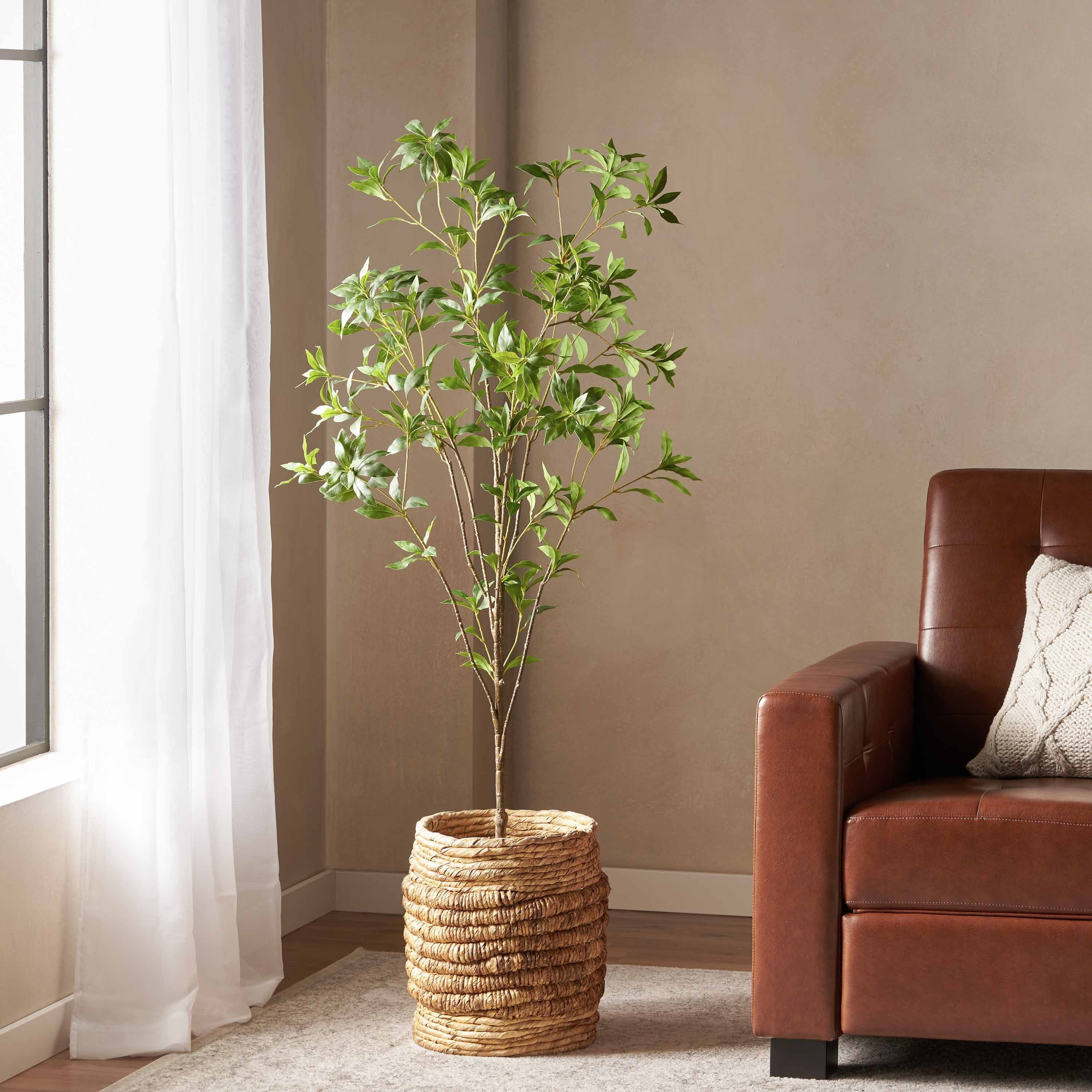 Christopher Knight Home Bergweg Artificial Pieris Tree by 5' x 2 ...