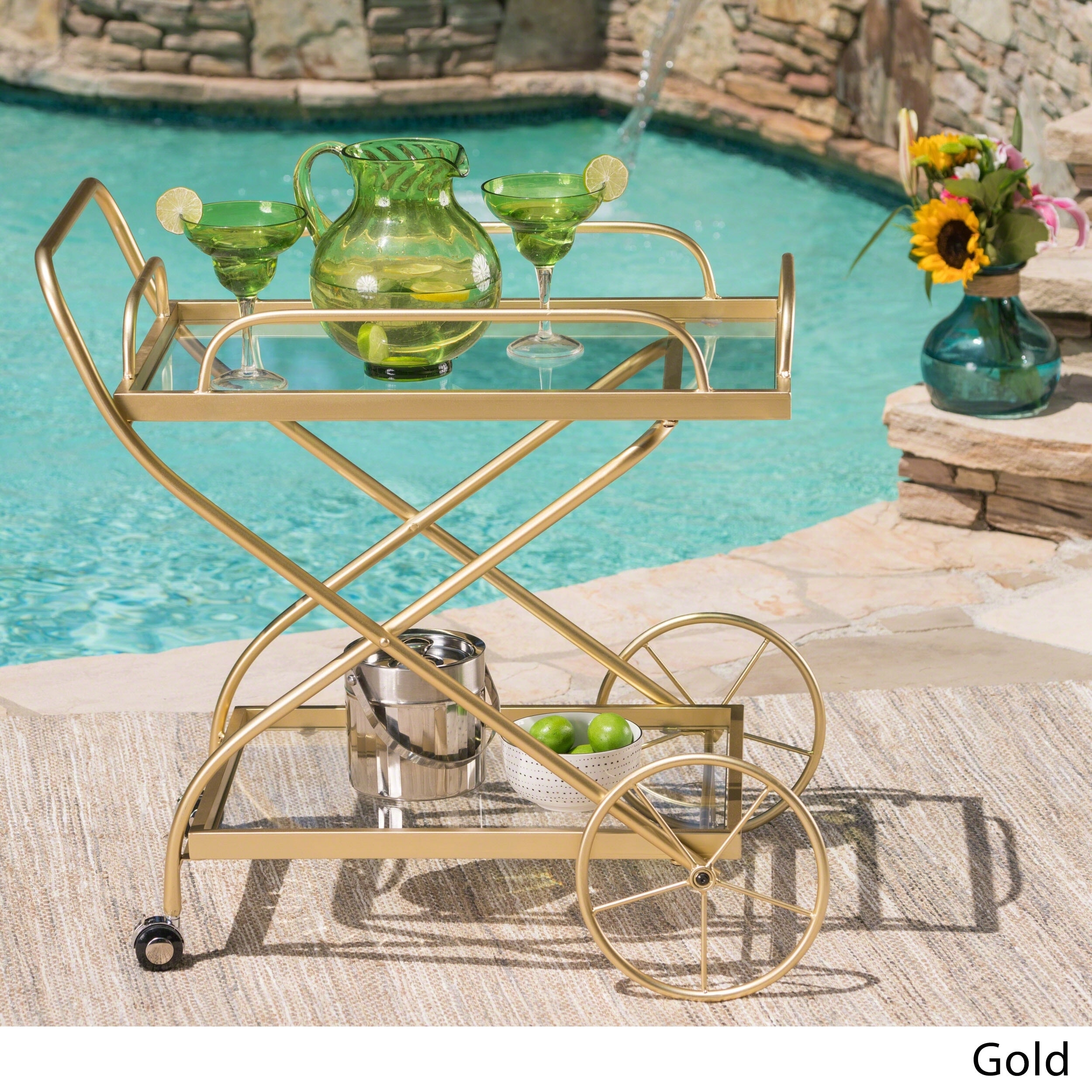 Christopher Knight Home Indio Outdoor Traditional Glass Bar Cart with ...
