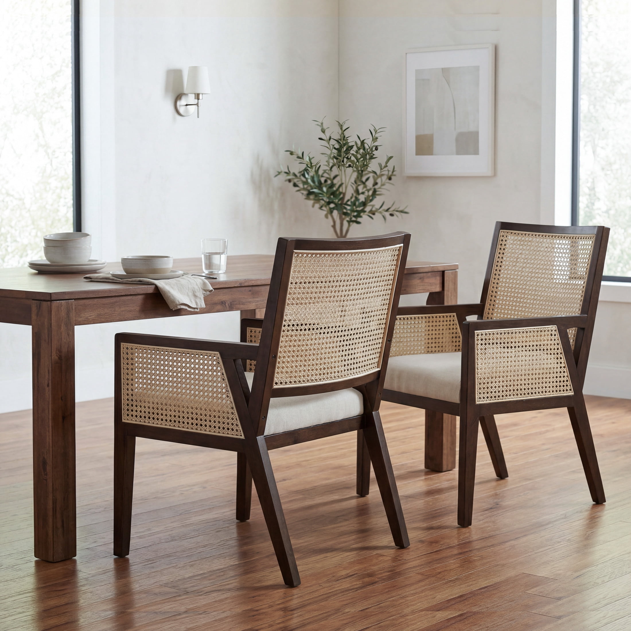 Christopher Knight Home Rattan Upholstered Dining Chairs Set of 2 ...