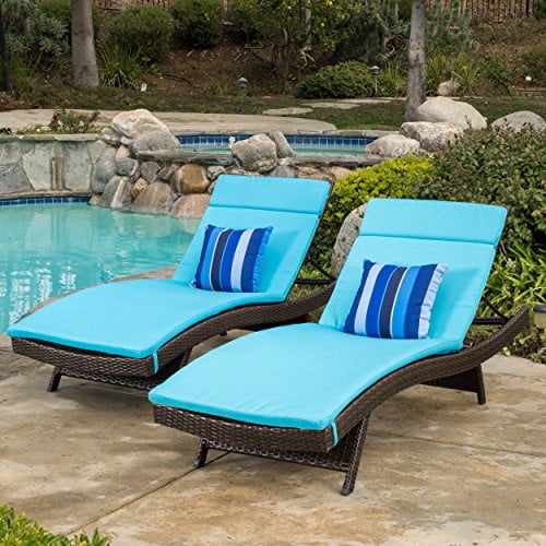 Christopher Knight Home Salem Chaise Lounge Cushion, 2-Pcs Set ...