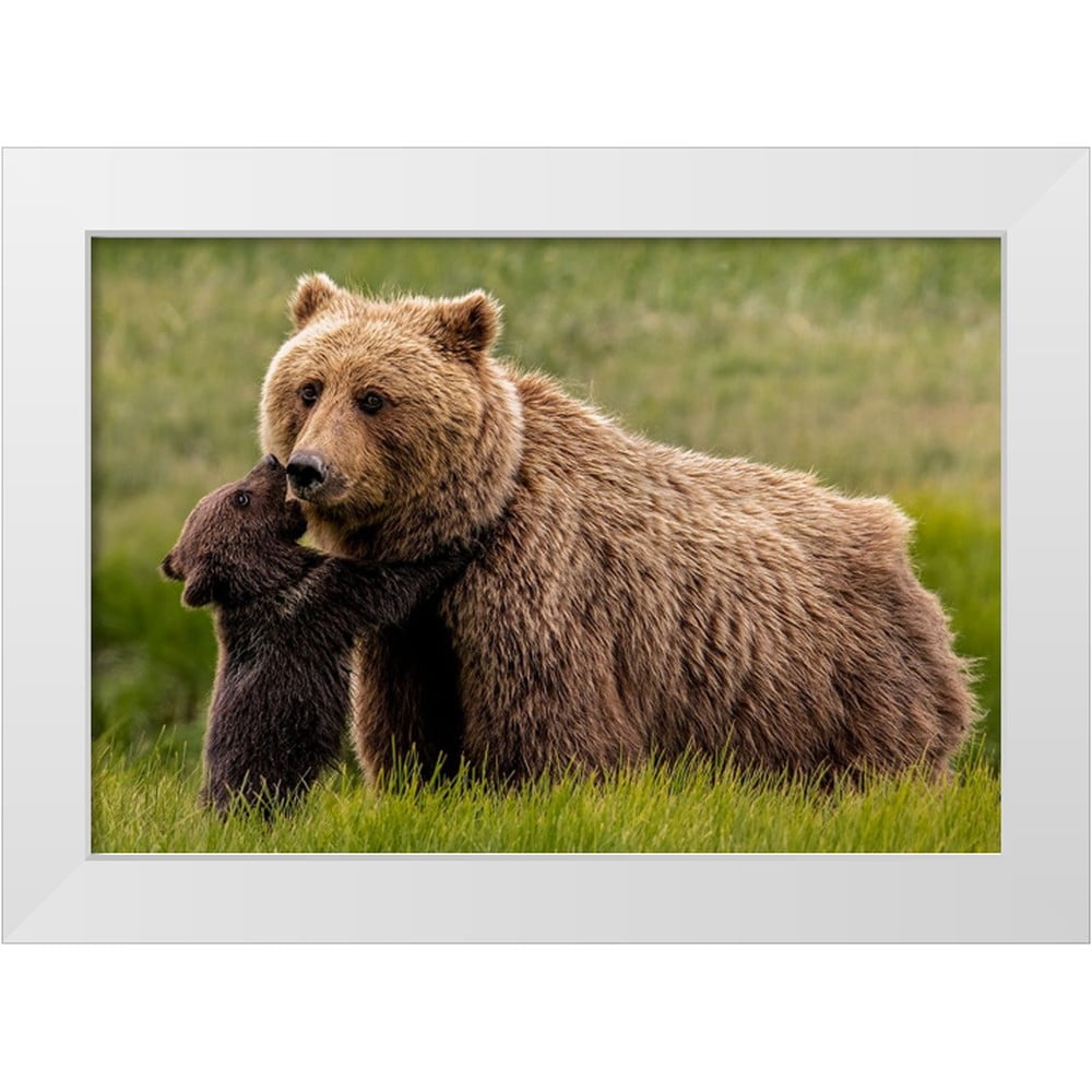 Christopher, Randy 14x11 White Modern Wood Framed Museum Art Print ...