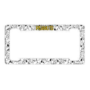 Best Sellers In License Plate Frames