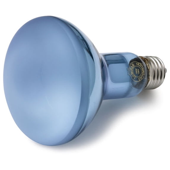 Chromalux 100W Full Spectrum Indoor Flood Light Bulb - Incandescent ...