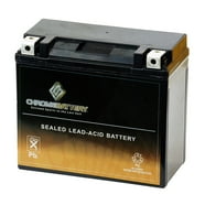 EverStart Premium AGM Power Sport Battery, Group Size TX20L 12 Volt ...