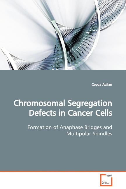 Chromosomal Segregation Defects in Cancer Cells Formation of Anaphase ...