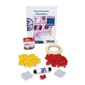 Carolina Lab Kits