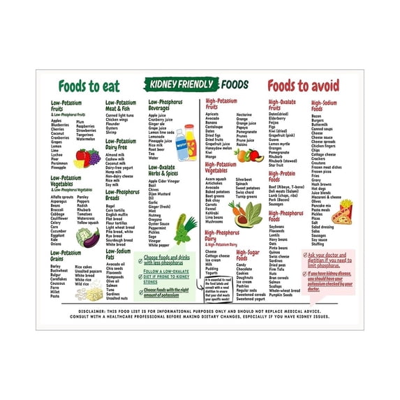 Chronic Kidney Disease Diet Guide Poster Low Potassium Food List Chart ...