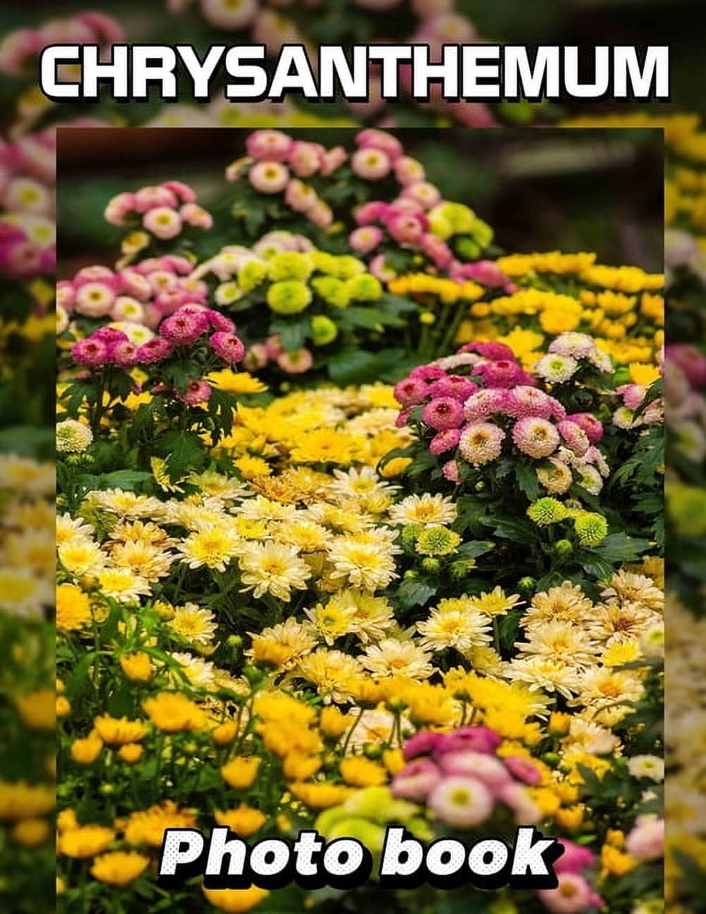 Chrysanthemum Photo Book: Stunning Floral Imagery of Chrysanthemums to ...