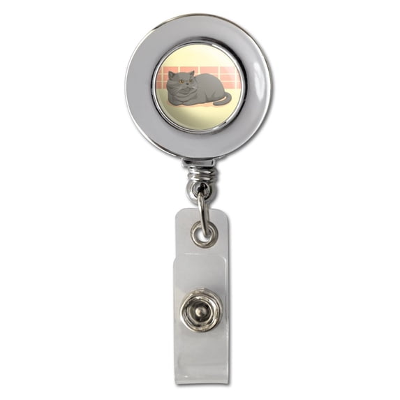 Chubby British Short Hair Grey Cat Retractable Reel Chrome Badge ID ...